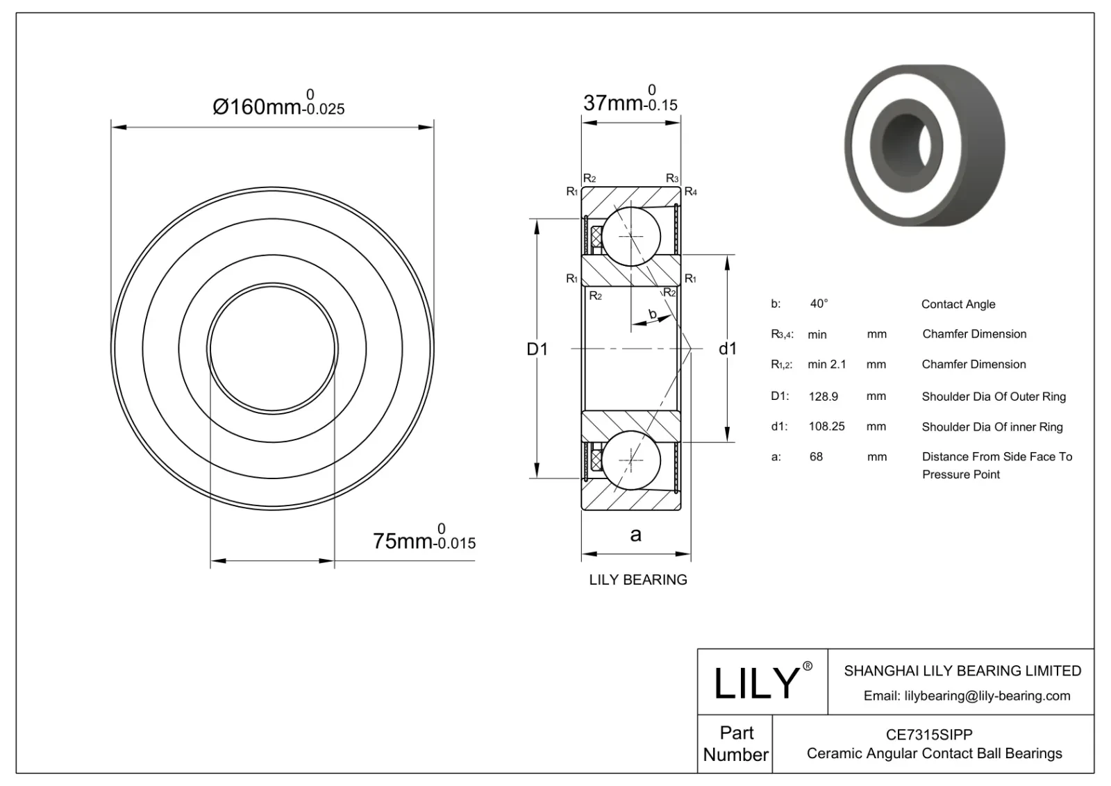 CE7315SIPP | Silicon Nitride-Single Row Angular Contact | LILY Bearing