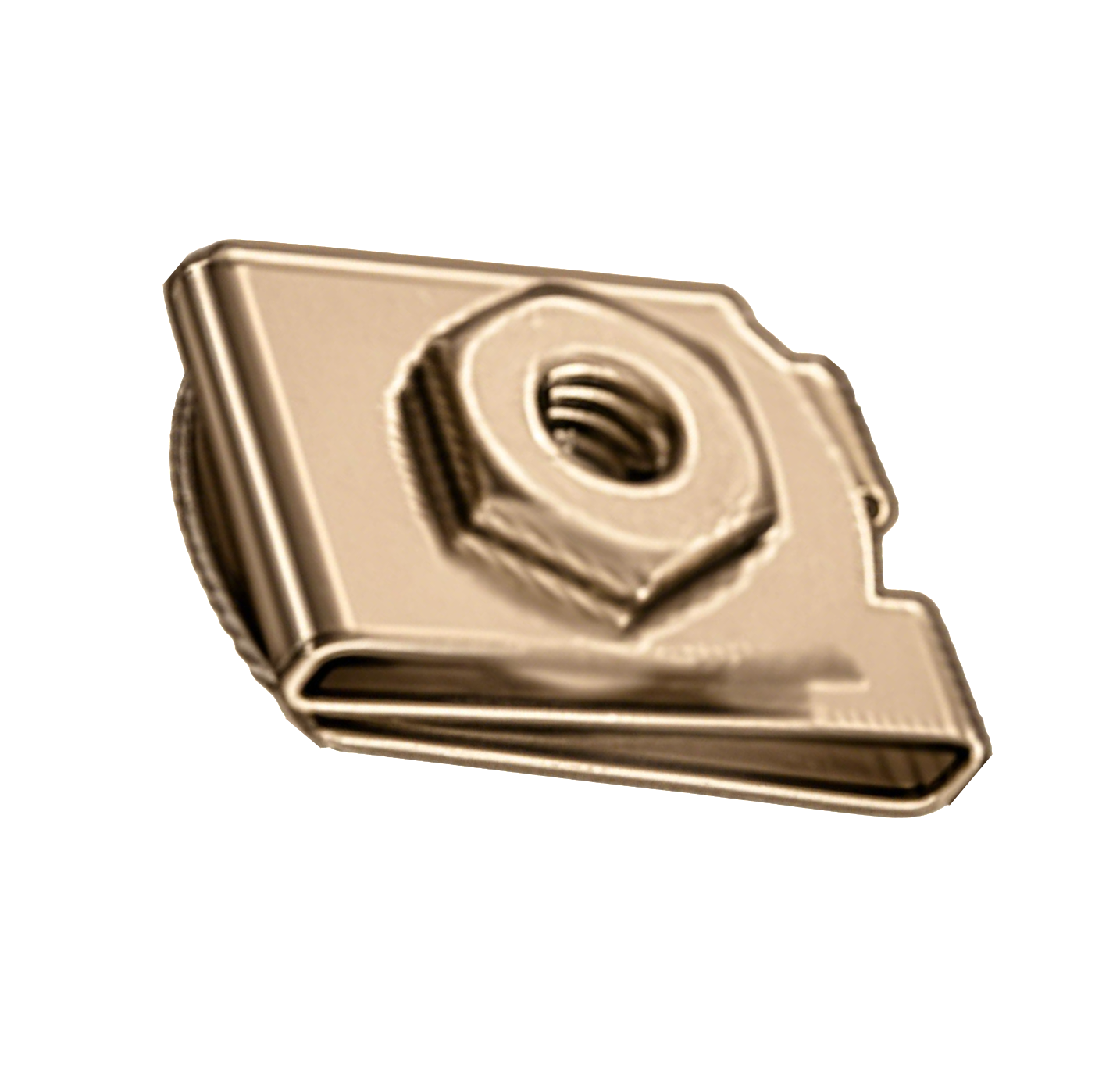 Clip-On Nuts | LILY Bearing